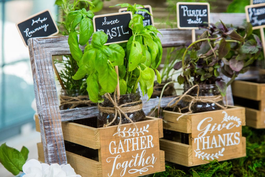 How To Make Plant Labels In Your Garden - Fun Tips And Ideas