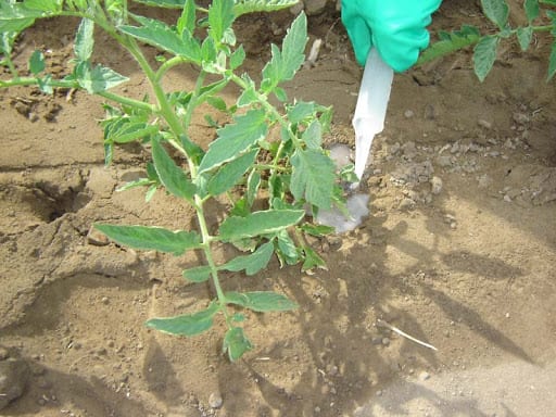 how to use soil drenches in gardens image - Garden, Sport & Outdoor Tools